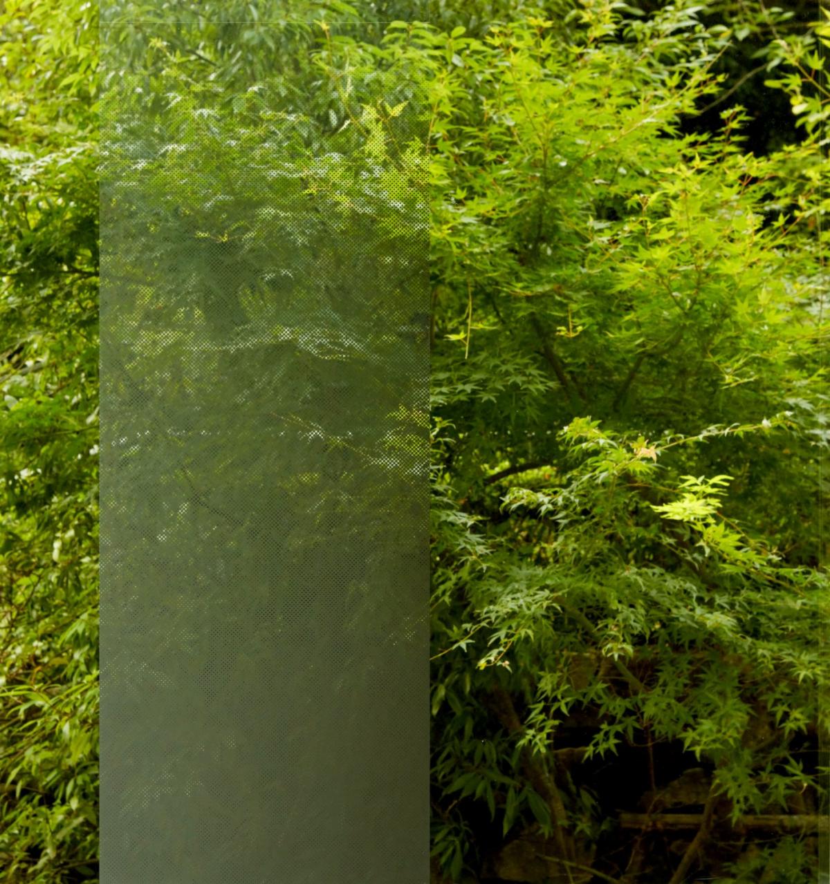 3M™ FASARA™ Glass Finishes - Gradation SH2SIIM, 1270 mm X 30 m | 3M