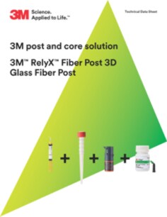 3M™ RelyX™ Fiber Post 3D Glass Fiber Post | 3M India