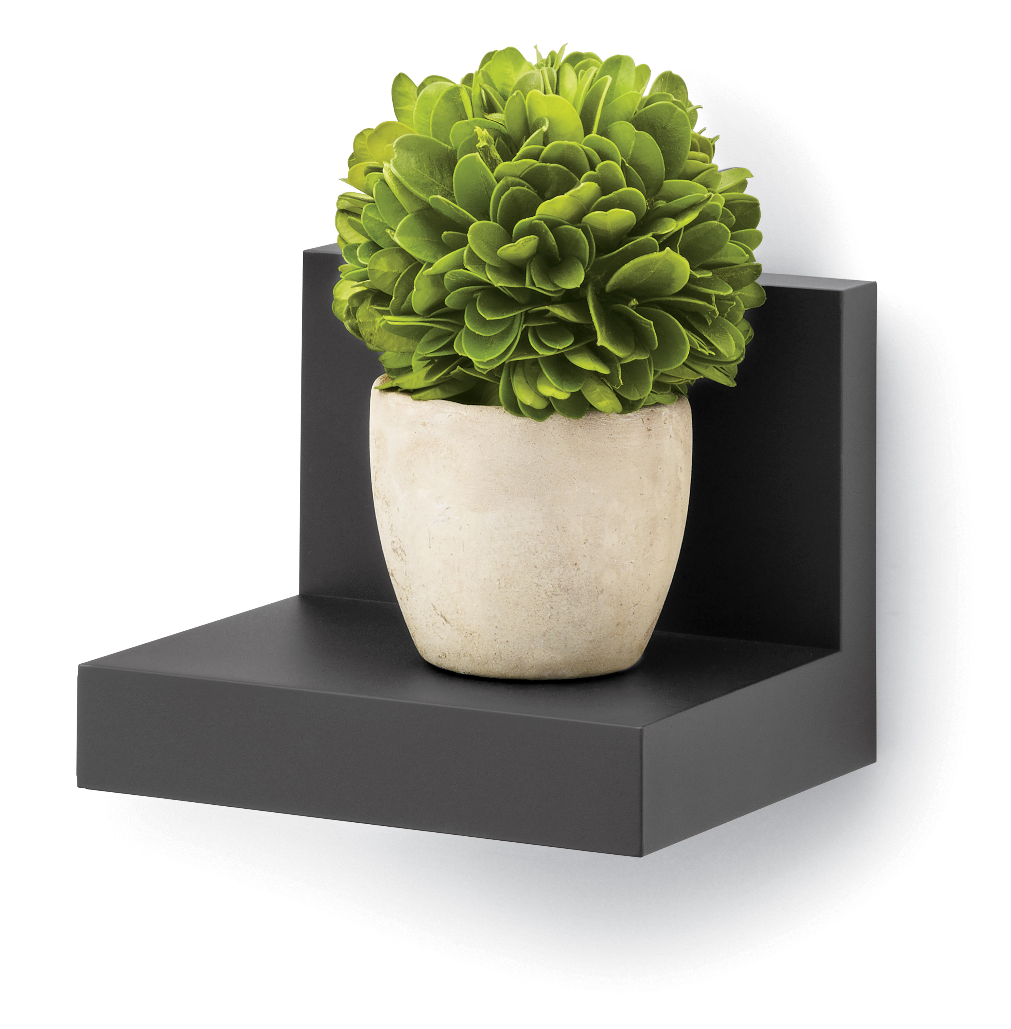 Command display ledges black store